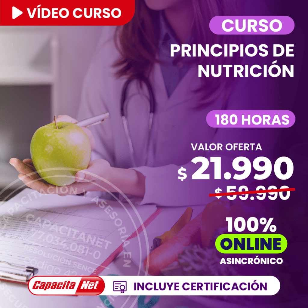 Los 10 Mejores Cursos de Nutrición Online en Chile